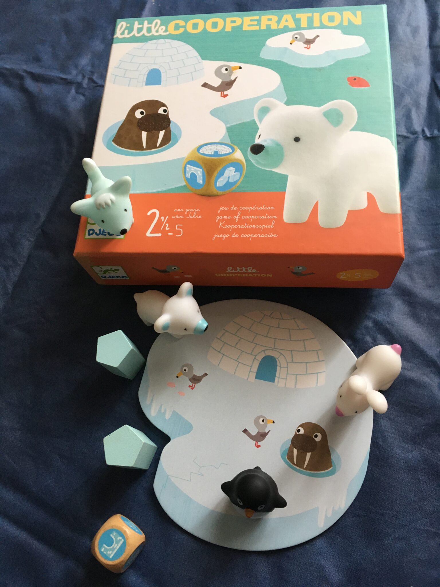 Jeux sur le thème de la banquise : une sélection – association Etre au ...